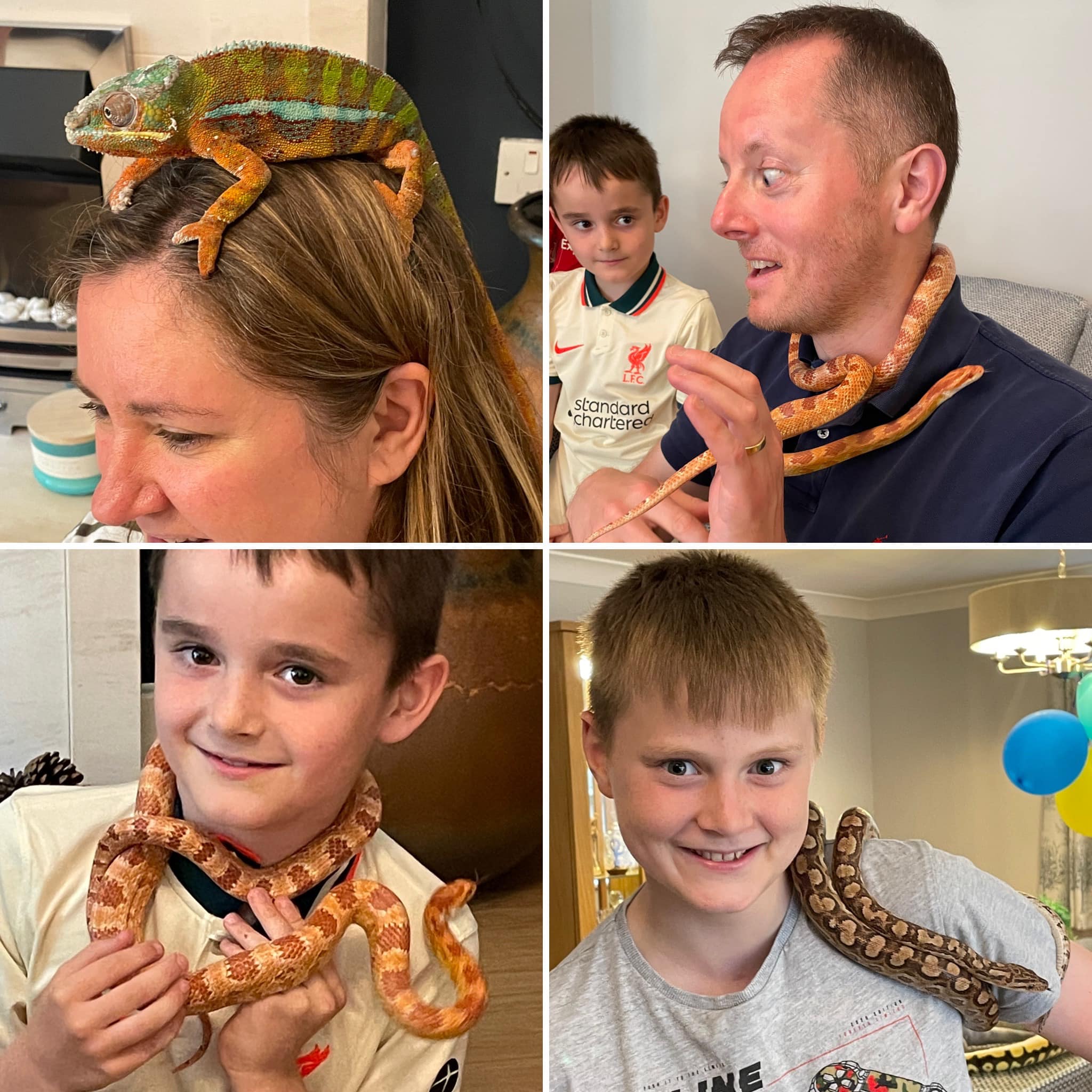 The Ultimate Reptile Experience - Lizard Lady